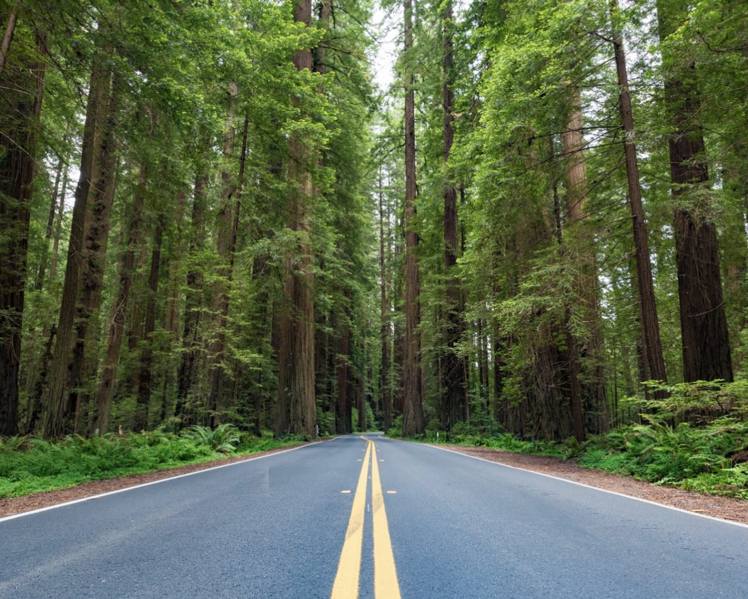 San Francisco to Seattle Road Trip (The Best Itinerary)